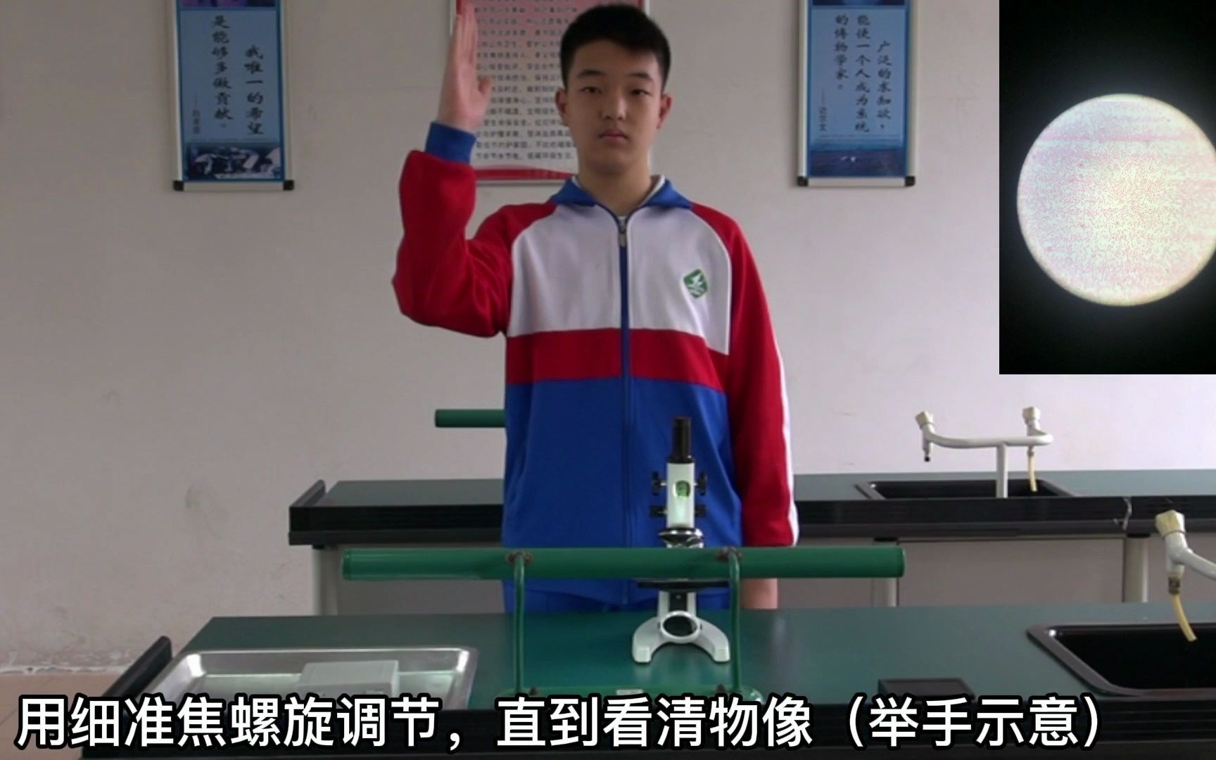 生物实验:观察人血永久涂片