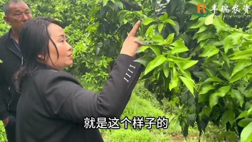 分享农业知识帮农民增产增收