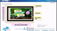 网页设计盒子模型
