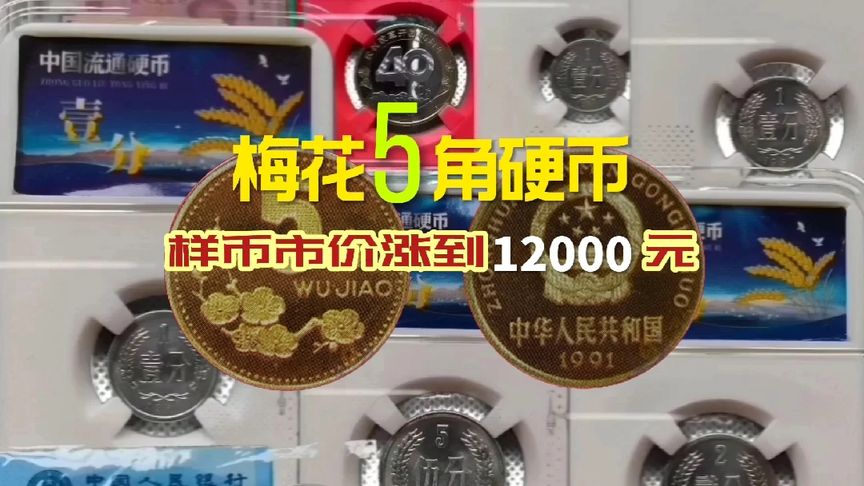 梅花5角硬币 样币市价涨到12000元