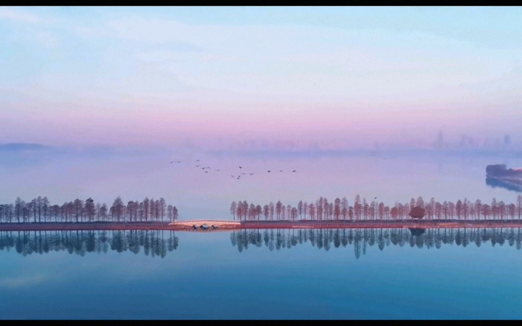 【游览武汉】《武汉:湿地之城》宣传片