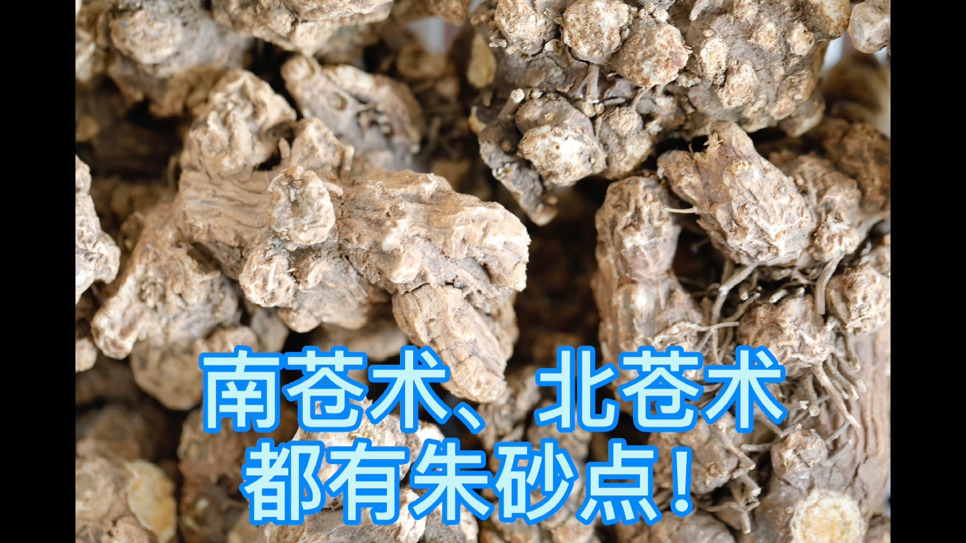 栽培南苍术和北苍术的优缺点