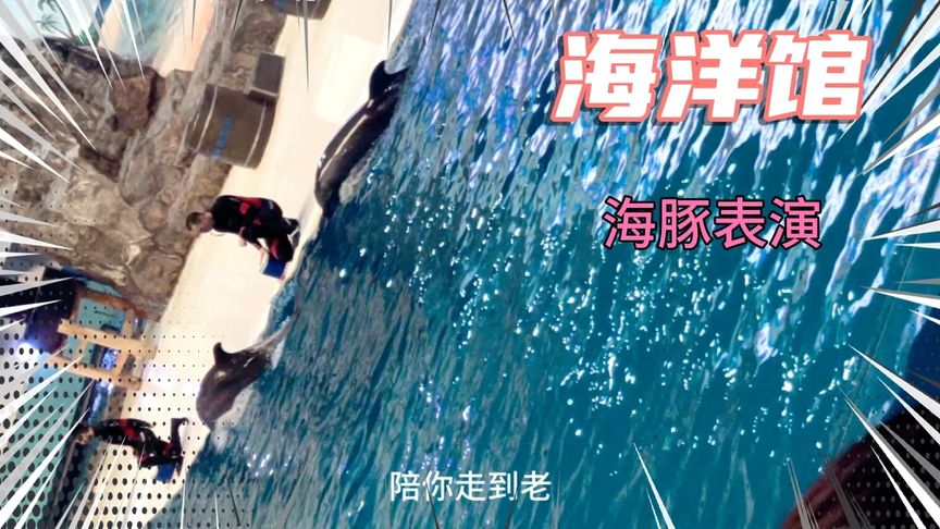 长沙海底世界 #亲子活动#看水生动物#科普鱼类知识