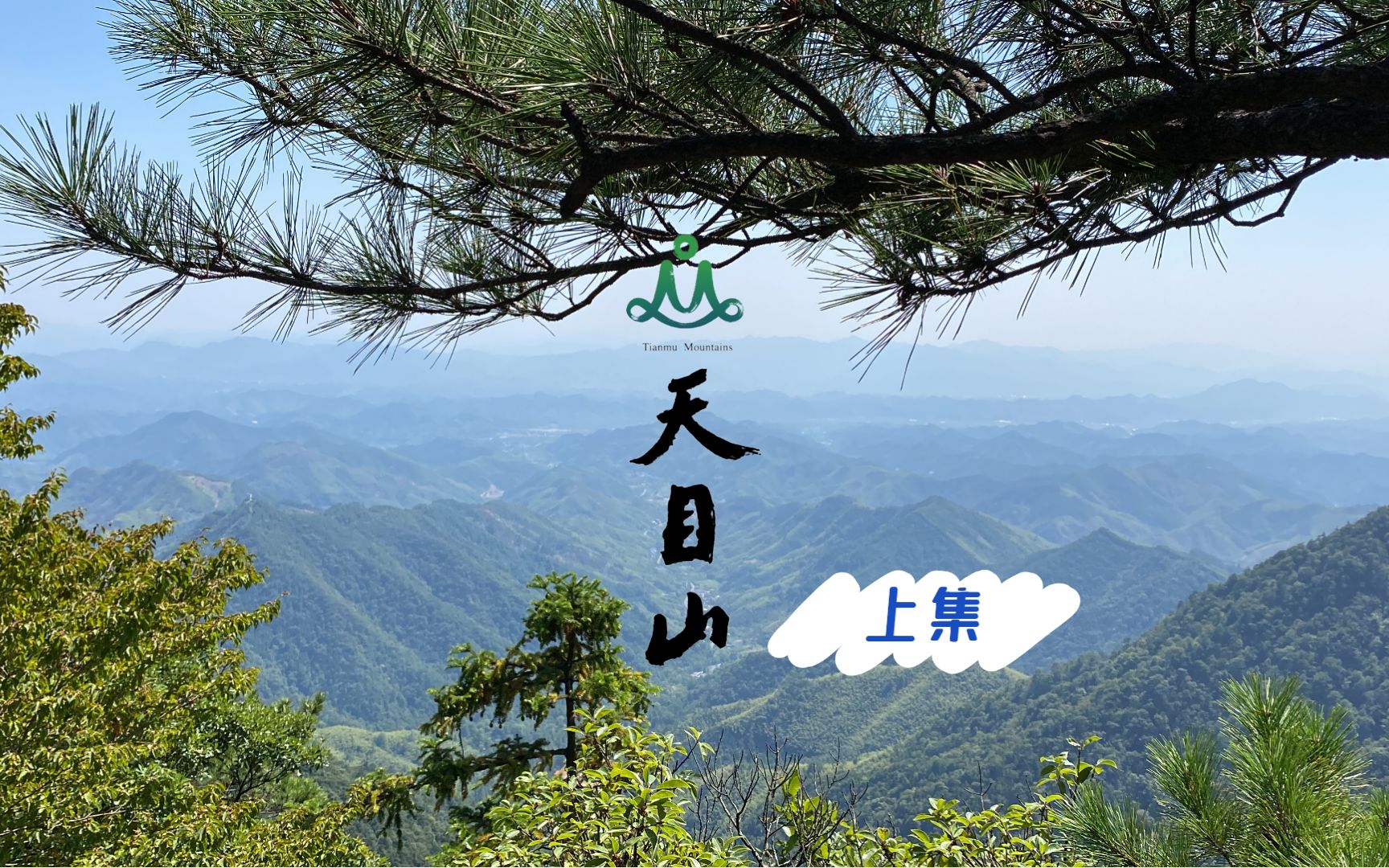 鲜为人知的杭州天目山,却是世界生物圈保护区