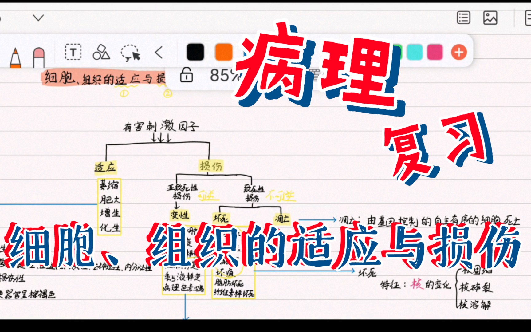 病理学-01细胞、组织的适应与损伤
