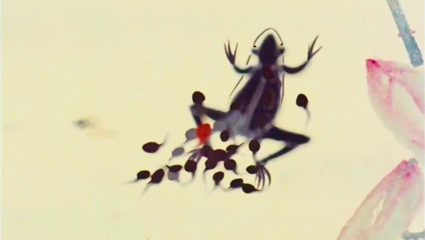 1960年的国产水墨动画,在国际上获奖无数,你看过了吗