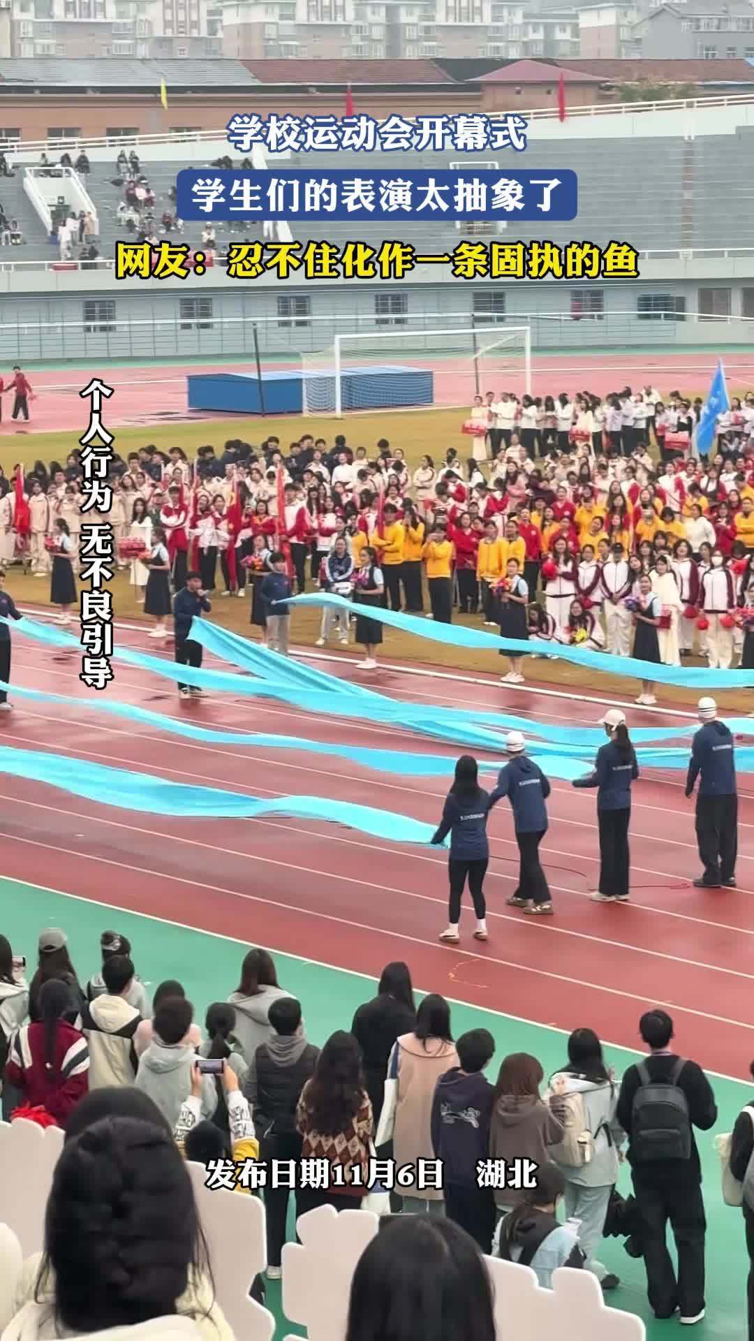 学校运动会开幕式学生们的表演太抽象了,网友:化作一条固执的鱼