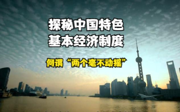探秘中国特色基本经济制度:何谓“两个毫不动摇”