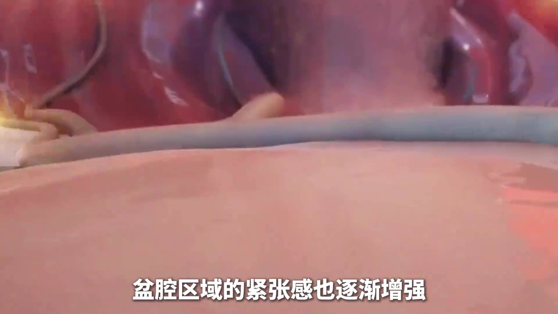 带你了解男性生殖系统的奥秘