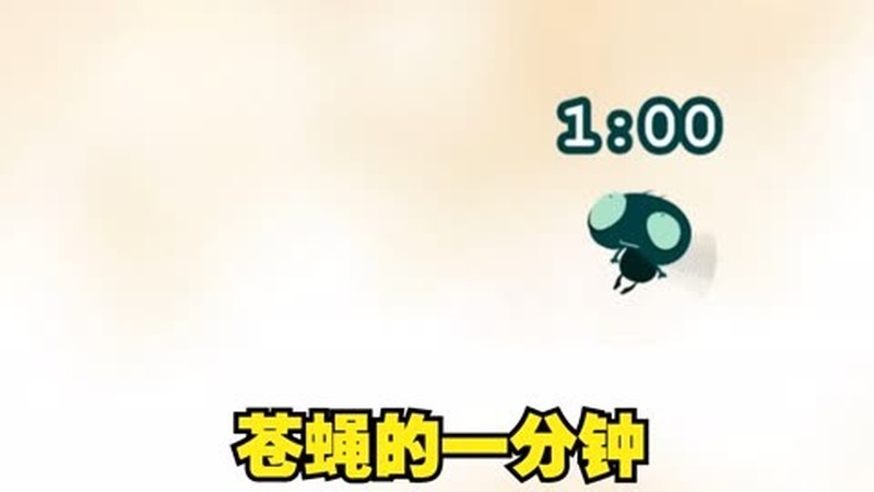 苍蝇的生命只有一分钟,却完成了一生的成就《苍蝇的一分钟》