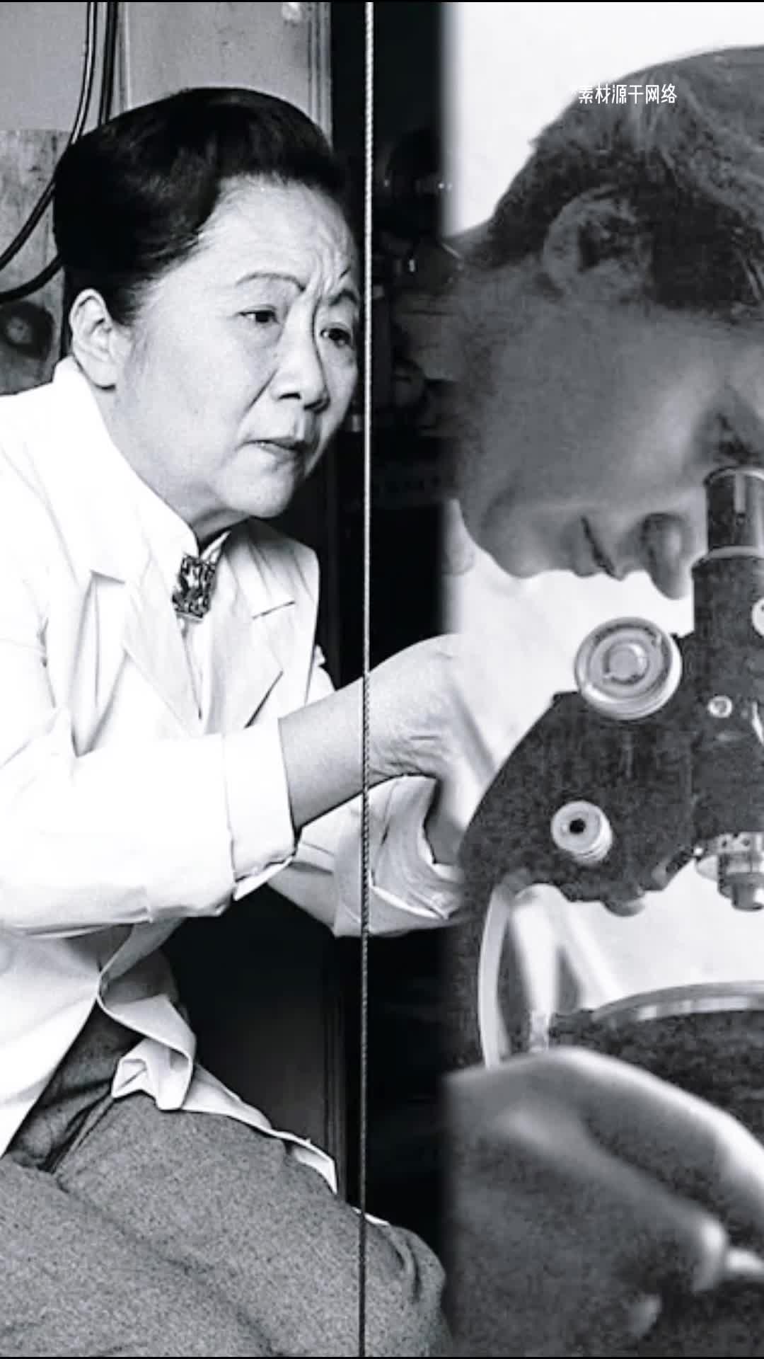 ...总是被忽视或错误地归因给男性合作者,这也形成了著名的玛蒂尔达...