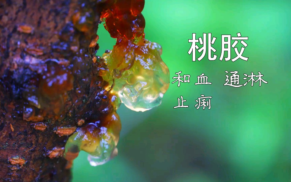 【桃胶】是个好东西,功效跟你想的不一样