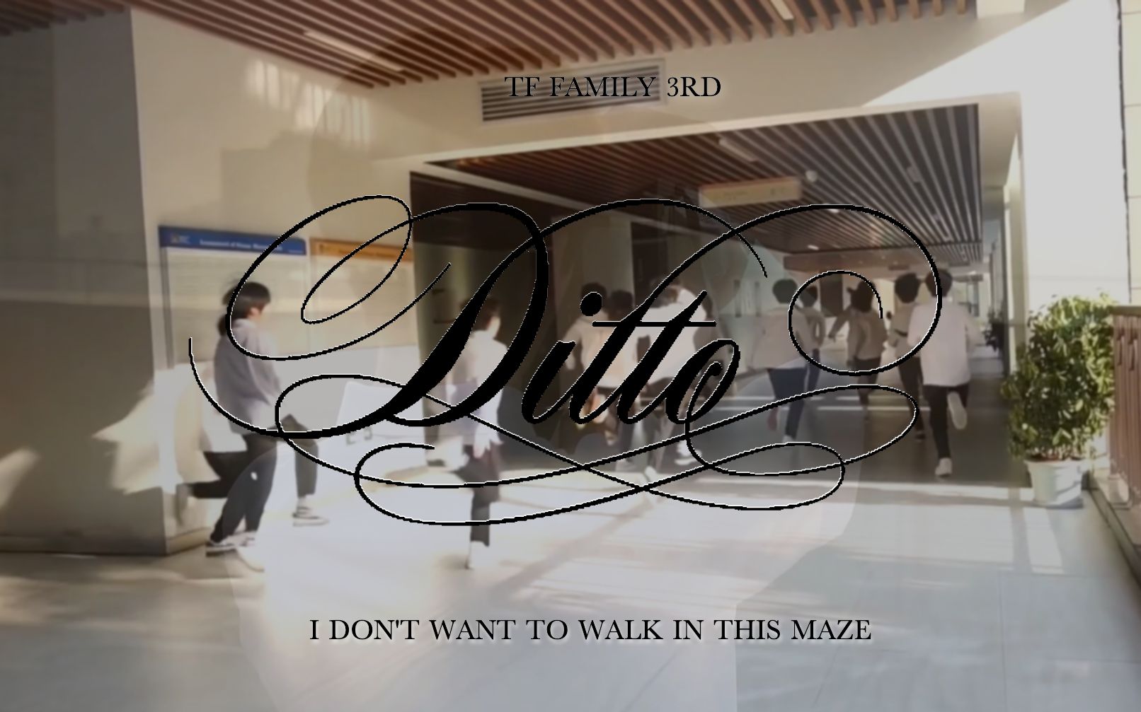 【TF家族三代】 Ditto | 我不愿走进这迷宫