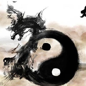 我不是流德华 