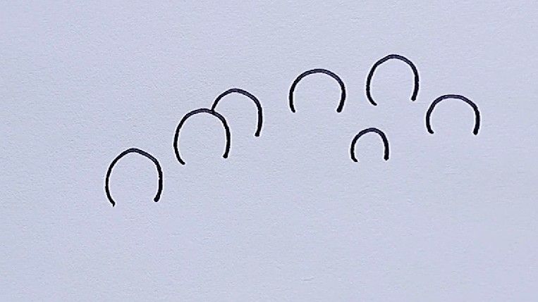 这样子画朵花简单又好看,你知道是什么花吗?