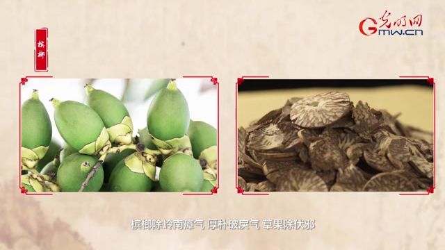 中医药文化,中华文明的瑰宝#中医药文化大会 #中医药文化