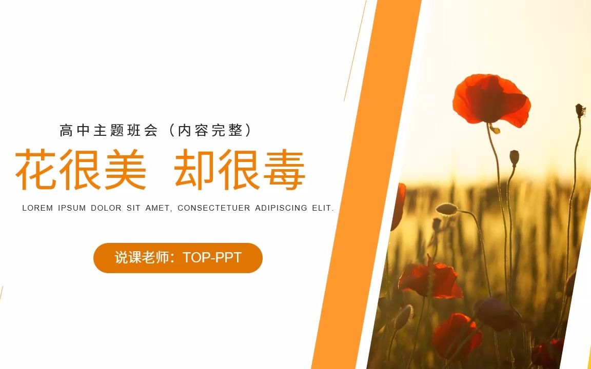 花很美,却很毒禁毒教育主题班会