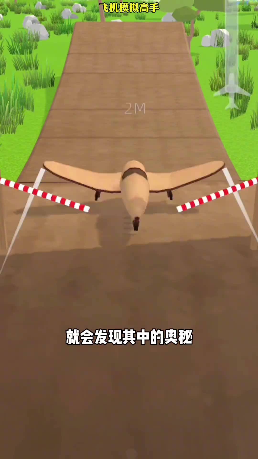 飞机模拟高手 415 (2)