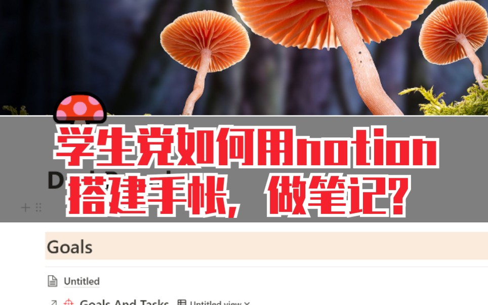 【notion】学生党如何使用notion搭建个人手账体系