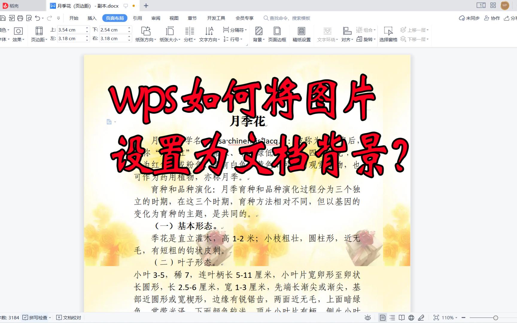 wps如何将图片设置为文档背景?添加背景的方法和技巧