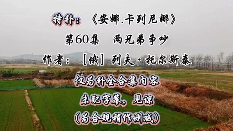 《安娜·卡列尼娜》第60集 两兄弟争吵 原著节选