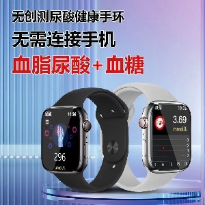 智能血糖尿酸手表 