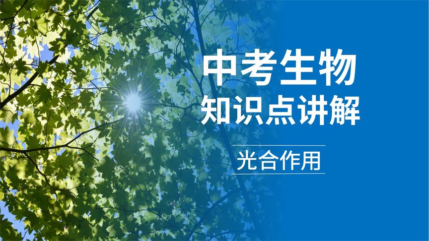 中考生物知识点讲解,光合作用的验证,及生产实践中的应用方法。