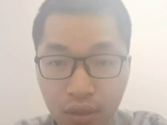 种群在生态系统循环中的影响