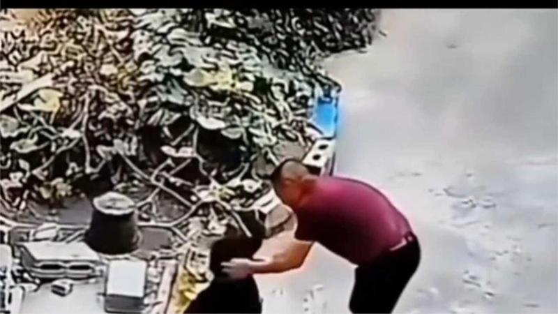 狗咬主人 下一秒 养不熟的狗