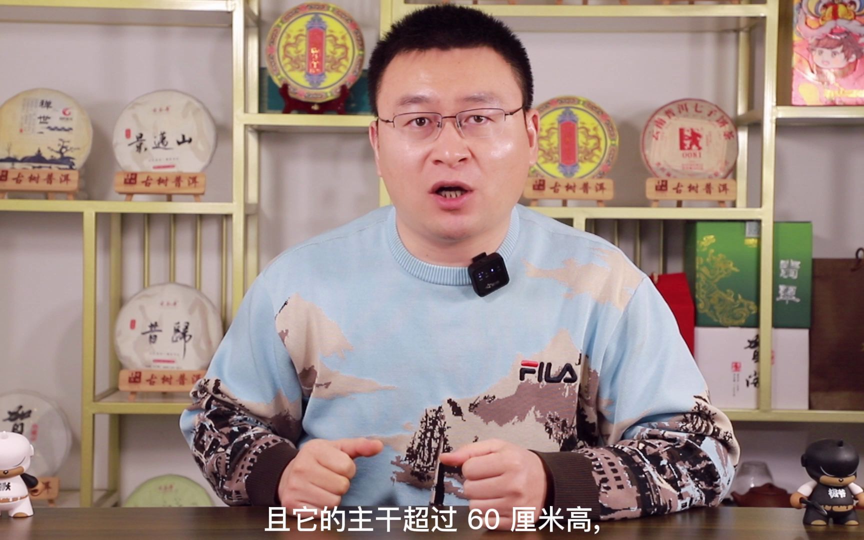 什么是云南普洱茶的乔木和小乔木