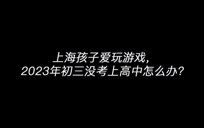 上海孩子爱玩游戏,2023年初三没考上高中怎么办?