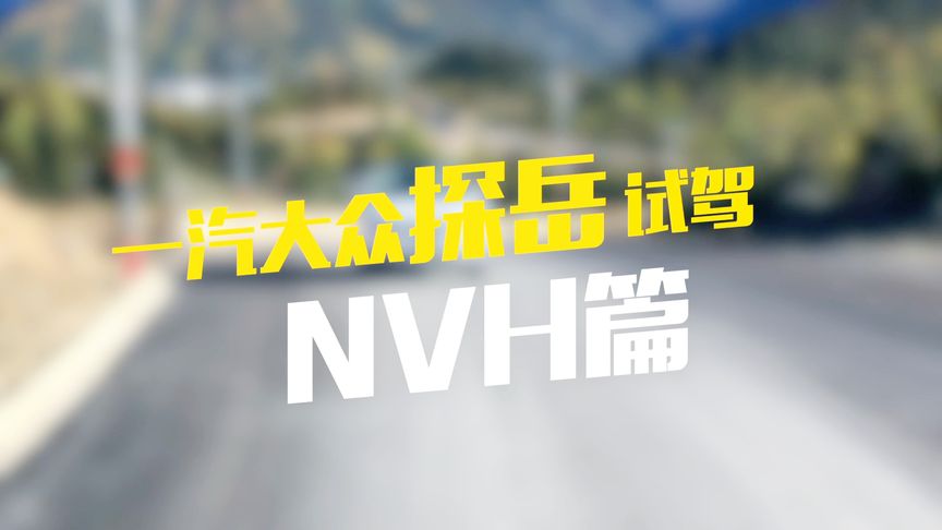 大众探岳的静音怎么样?自动启停好用么?