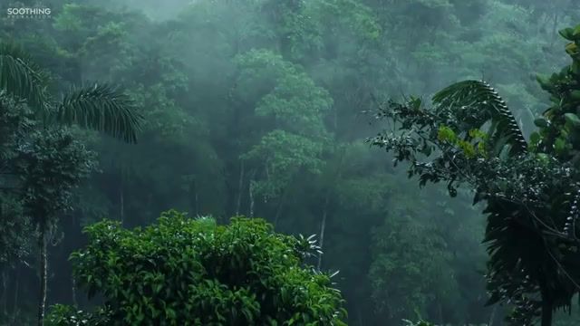ASMR,雨声,释放压力,学习帮助,提升学习效率,水声,睡眠,放鬆冥想