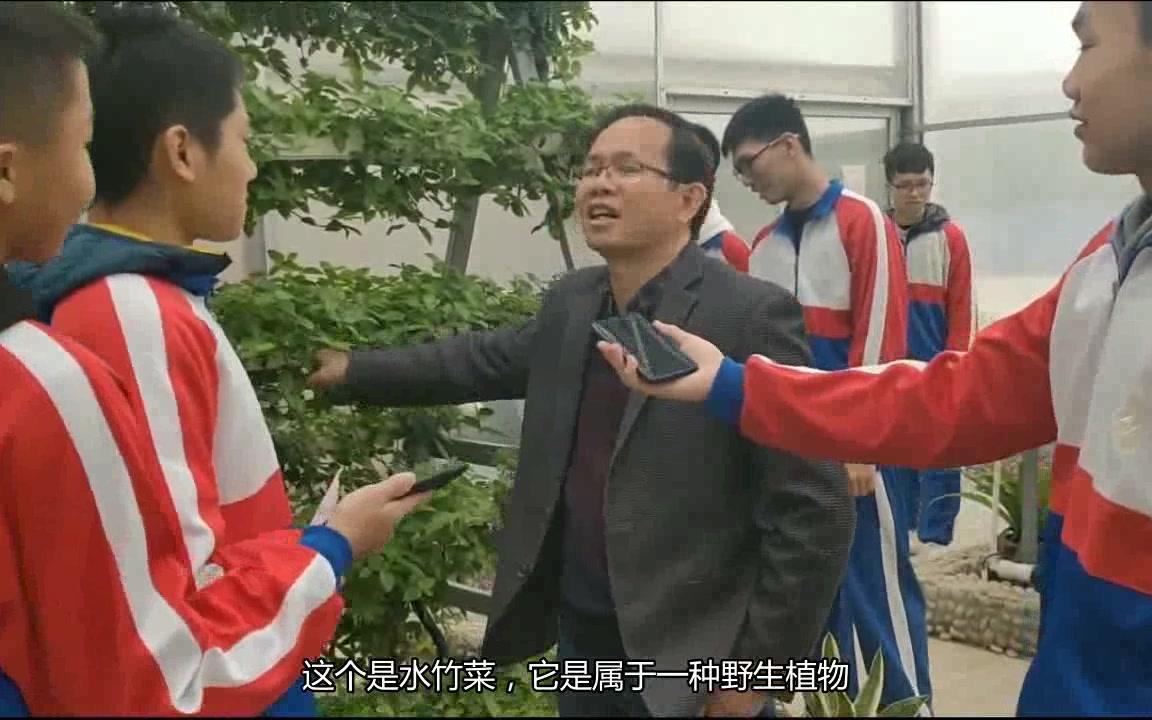 无土栽培技术宣传片