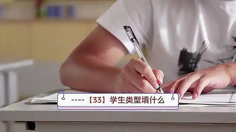 学生类型填什么