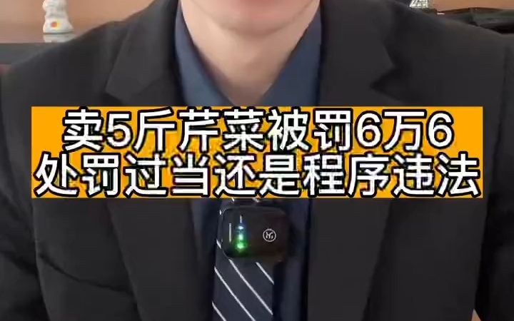 【法律咨询】5斤芹菜被罚6万6处罚过当还是程序违法?
