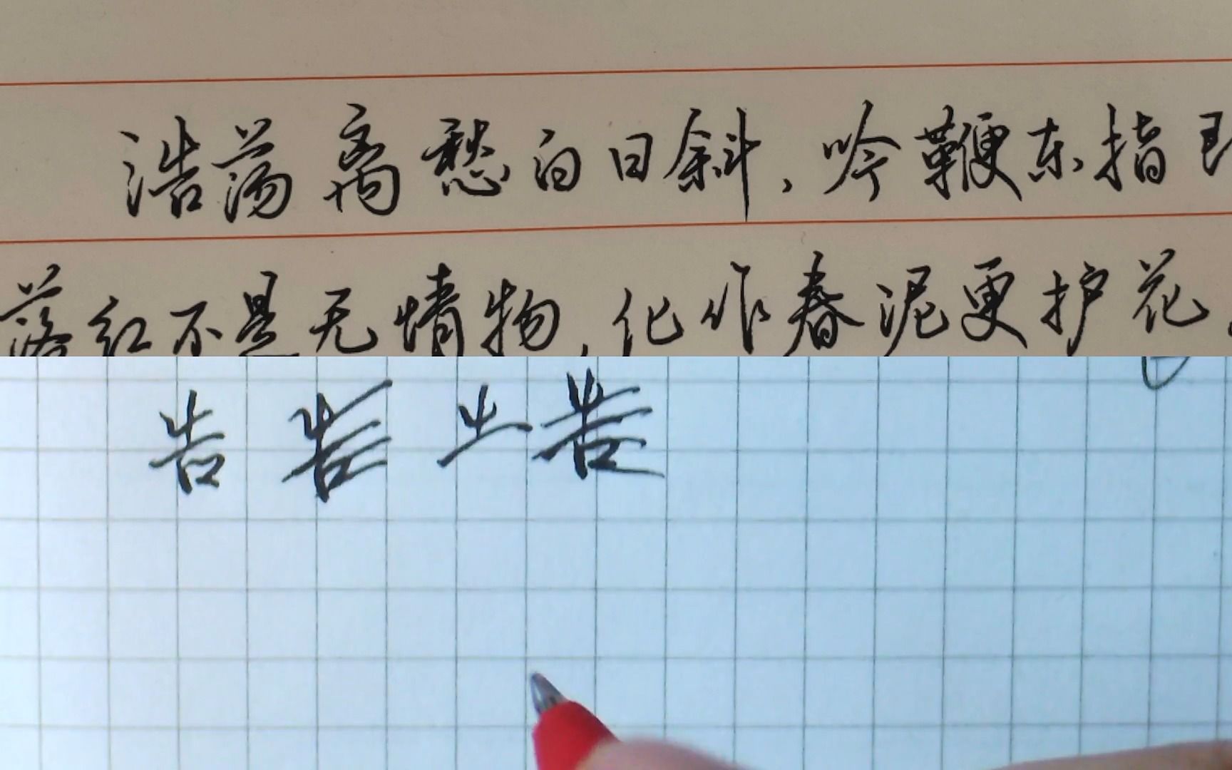 硬笔行书章法《落红不是无情物》