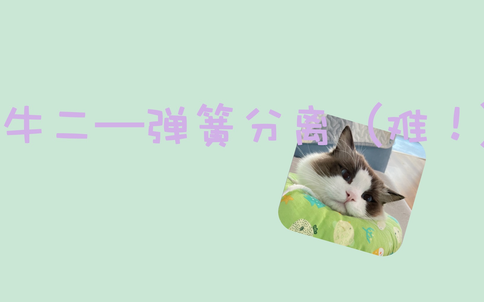猫猫陪你学物理——牛顿第二定律-弹簧分离临界(难,慎入)