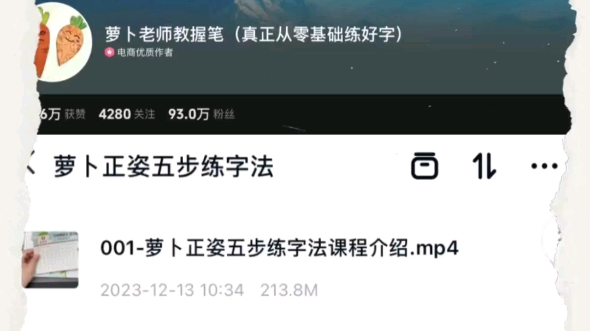 萝卜老师教握笔正姿五步练字法118节高清完整练字教学视频课