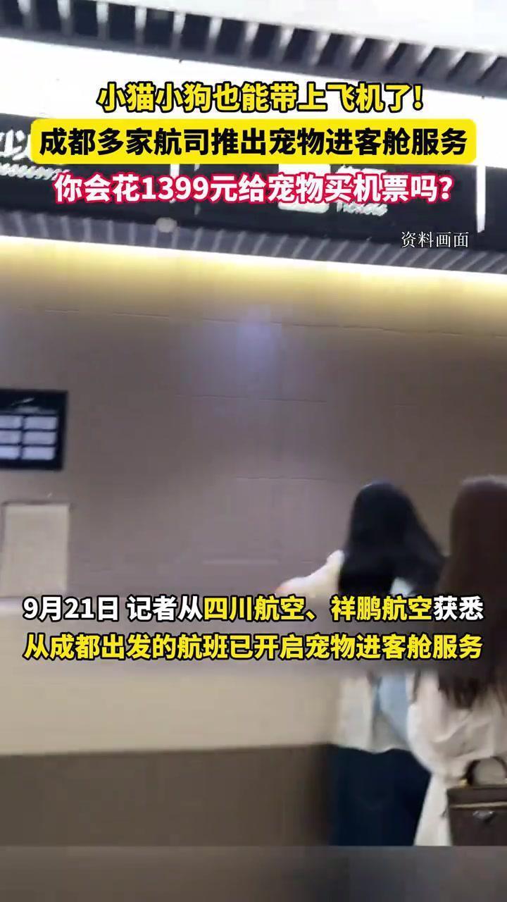 近日,成都多家航空公司推出宠物进客舱服务,每只宠物收费标准为1399...