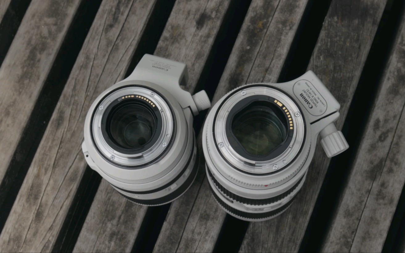 Canon RF 70-200mm f_2.8L vs EF 70-200mm f_2.8L