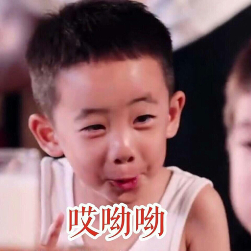 进击的小摇 