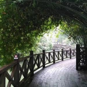 绿色苍茫 