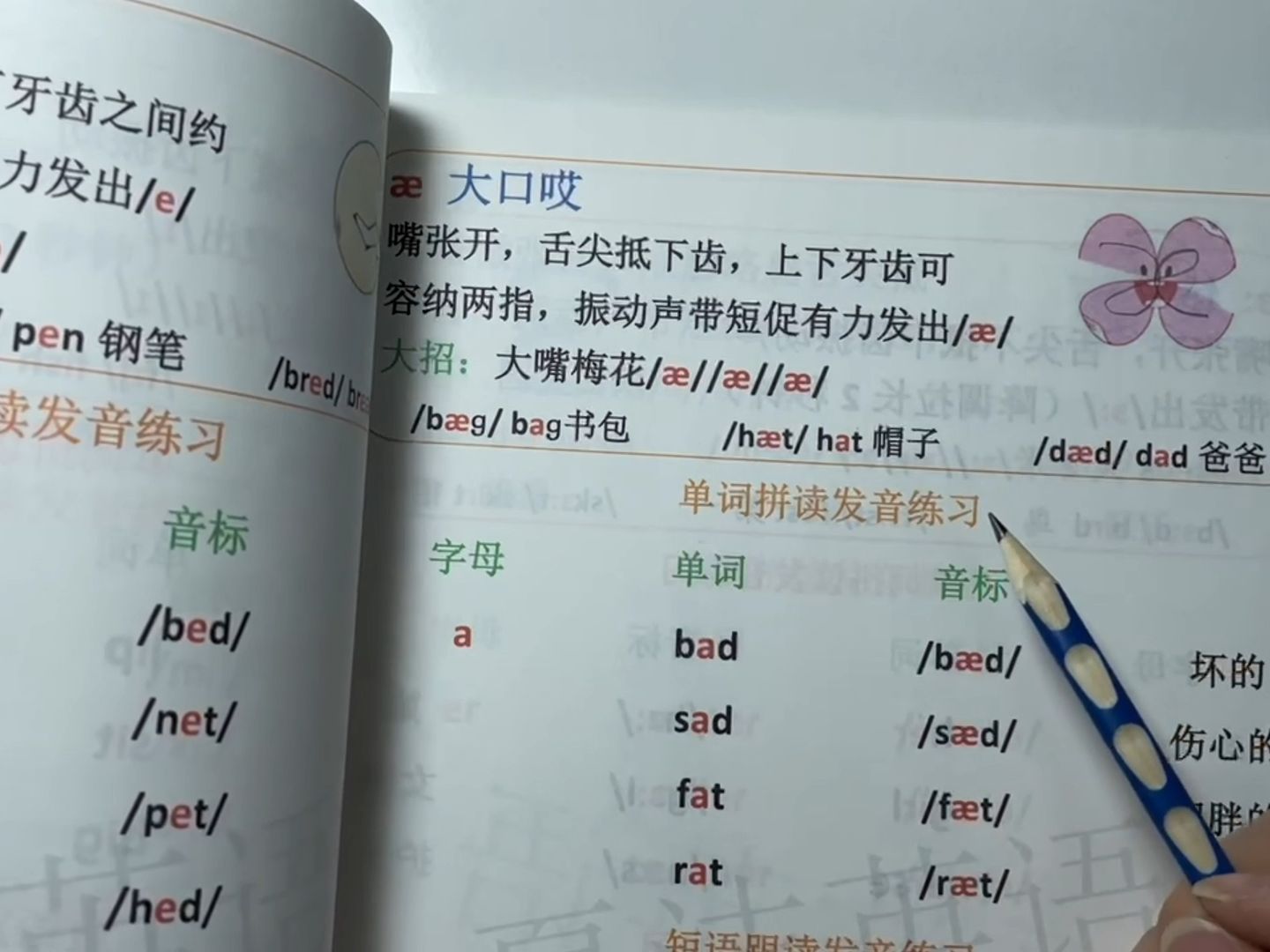 学会音标太好了,轻松见到单词,就知道怎么读了