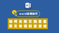 word实用技巧: 如何去除文档中那烦人的波浪线