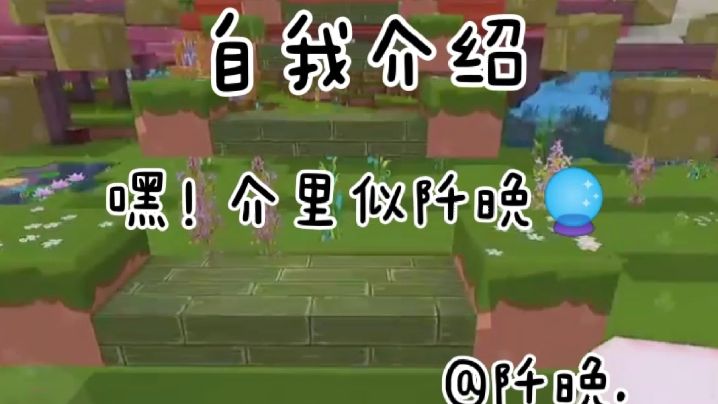 迷你世界:自我介绍 画质有点糊,不要介意鸭