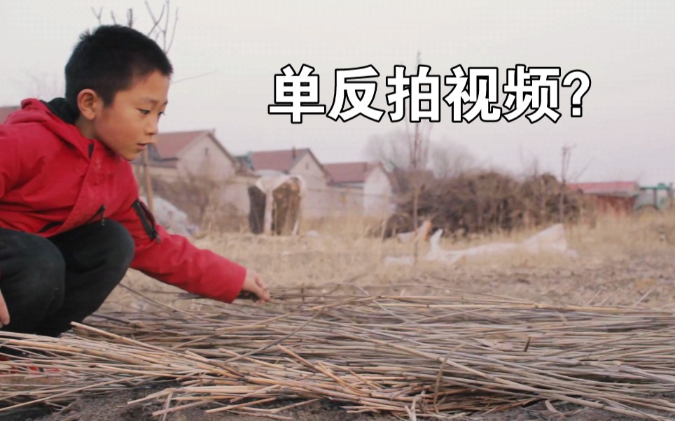 十年前的单反还能拍视频吗?佳能60D+适马30mmf1.4镜头的视频拍摄...