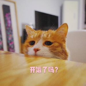 一碗紫薯芋泥 