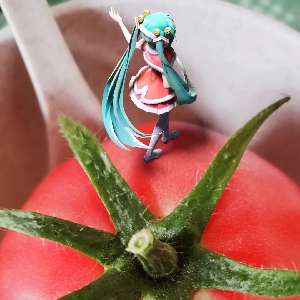 软魅知 