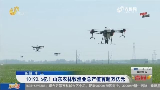 首超万亿元!山东农林牧渔业总产值10190.6亿,海洋经济蓬勃发展